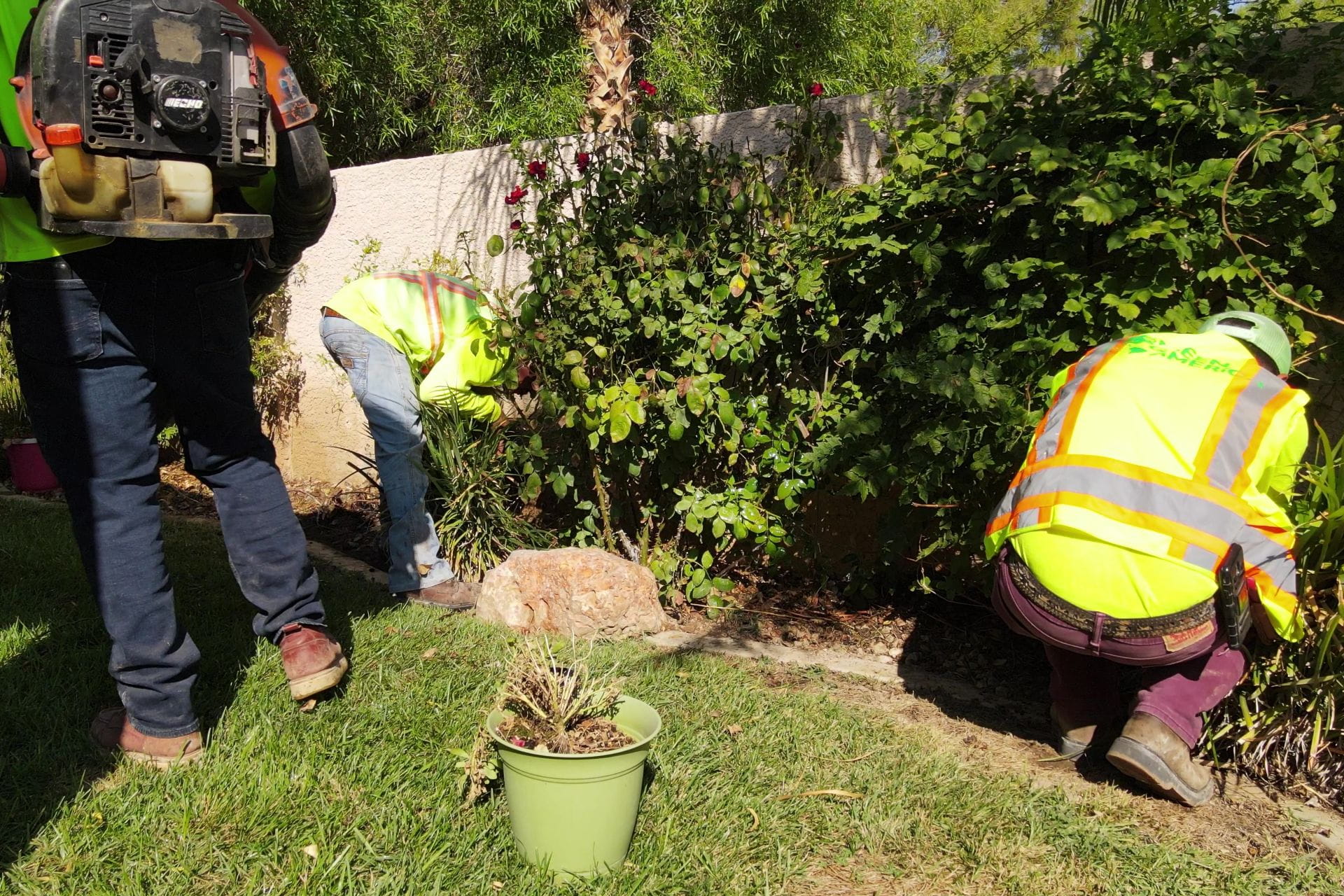24 Hour Emergency Landscaping Services This Fall