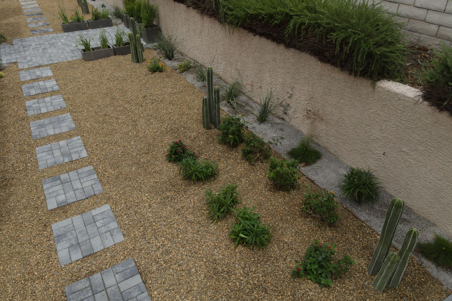 Las Vegas Desert Landscaping Ideas For Improved Curb Appeal | Green America Tree & Landscaping
