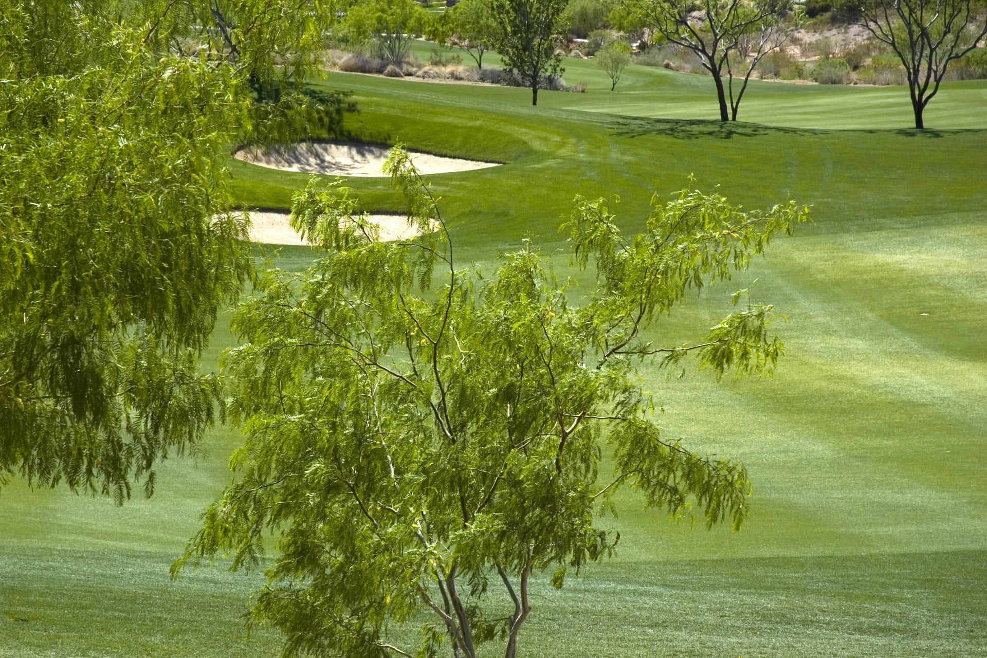 Golf Course Landscape Maintenance In Las Vegas