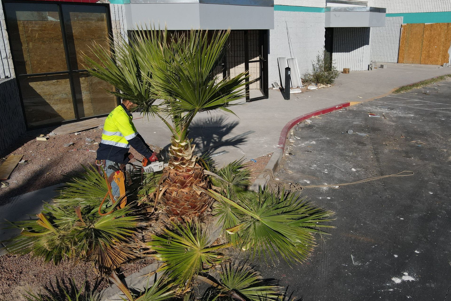 Las Vegas Palm Tree Skinning | Green America Landscaping