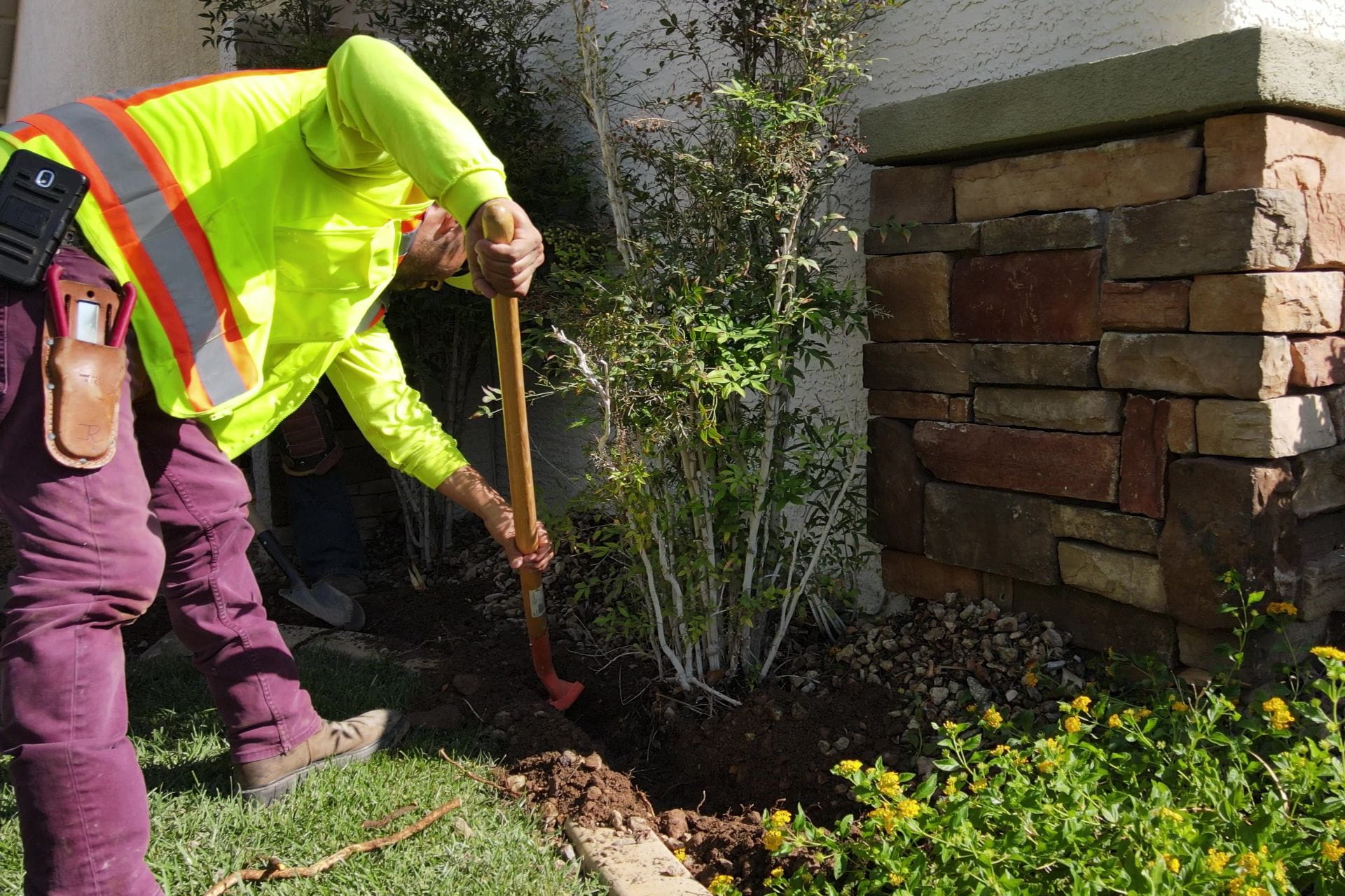 Las Vegas Plant Installation & Care | Green America Landscaping