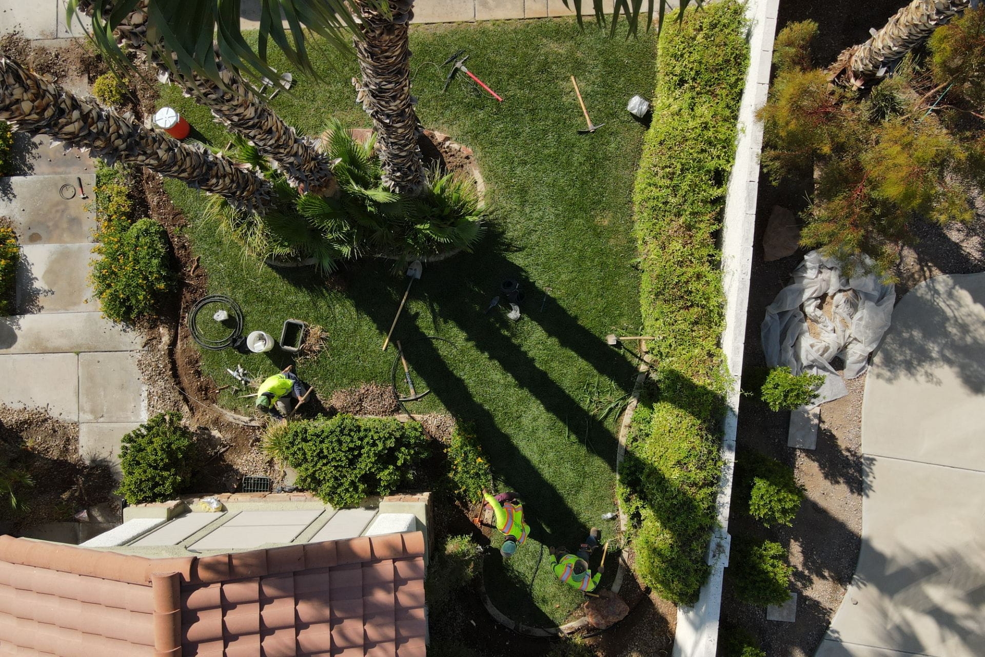 Las Vegas Landscape Maintenance | Green America Tree & Landscaping