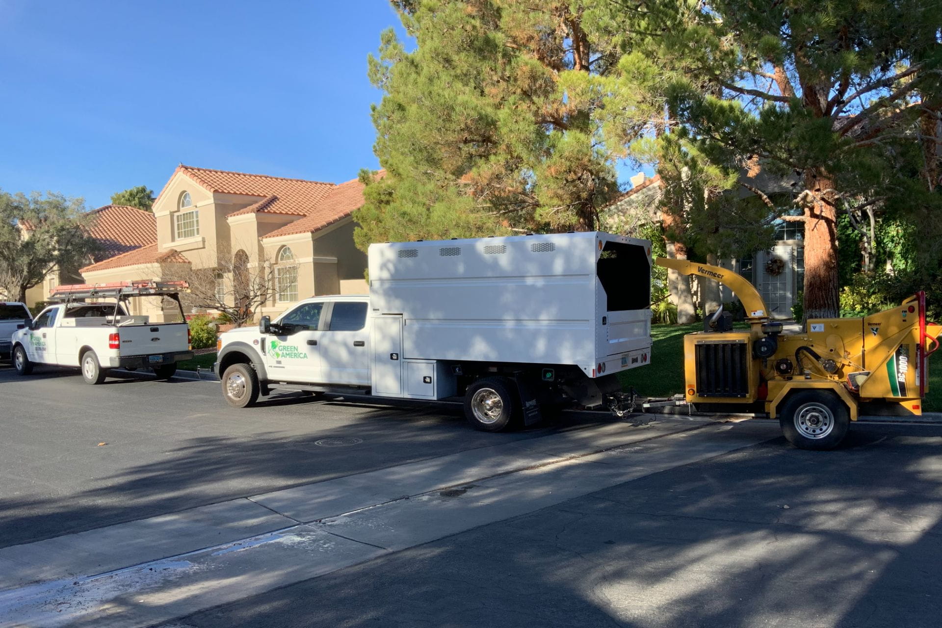 Las Vegas Tree Trimming & Pruning | Green America Landscaping